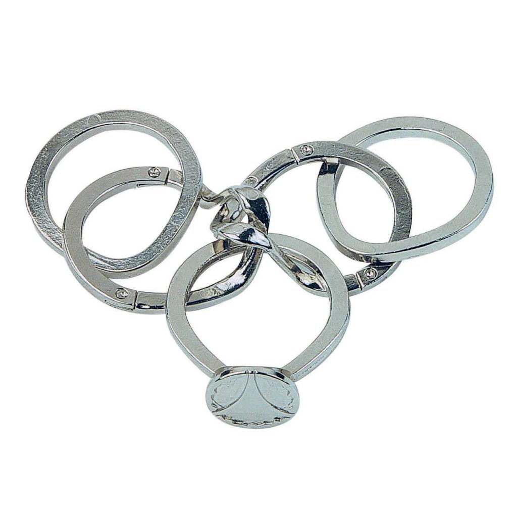 Ring II - Level 5 (Hanayama Cast Puzzle) - Mind Games