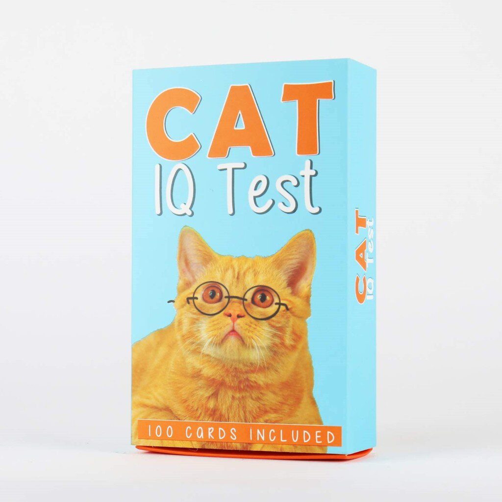 Cat IQ Test - Mind Games