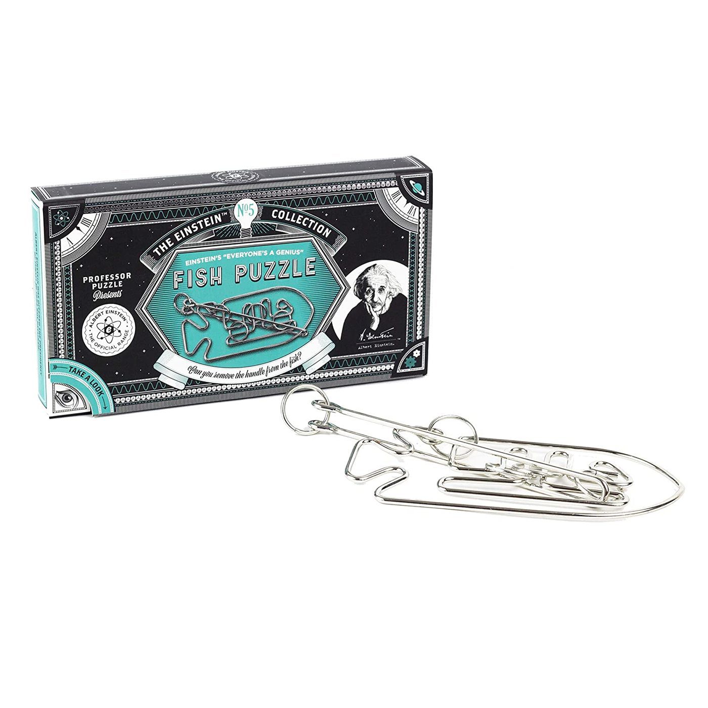 Einstein Fish Puzzle - Mind Games