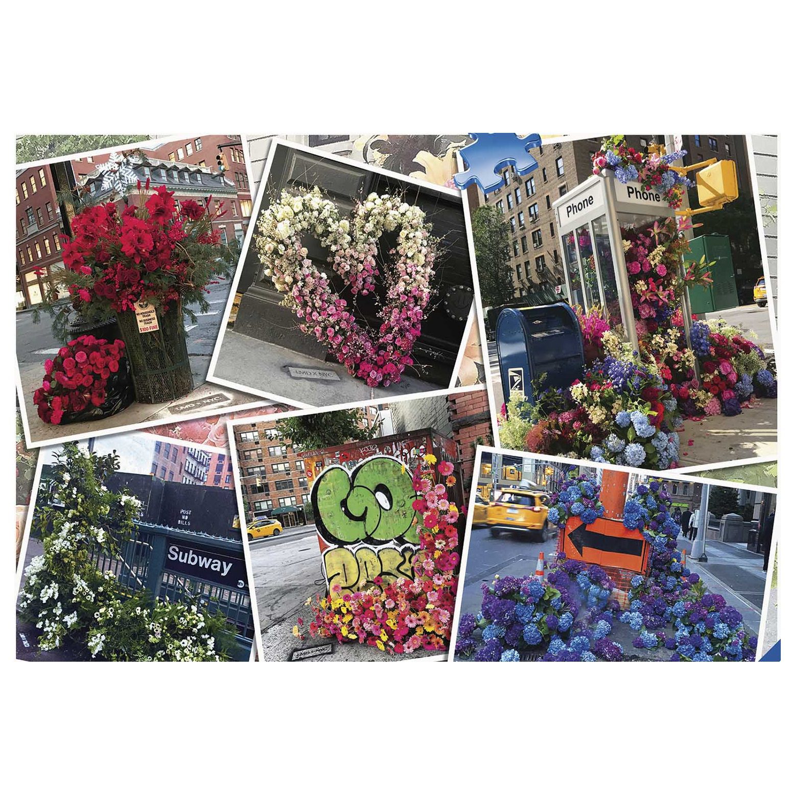 NYC Flower Flash - 1000pc - Mind Games