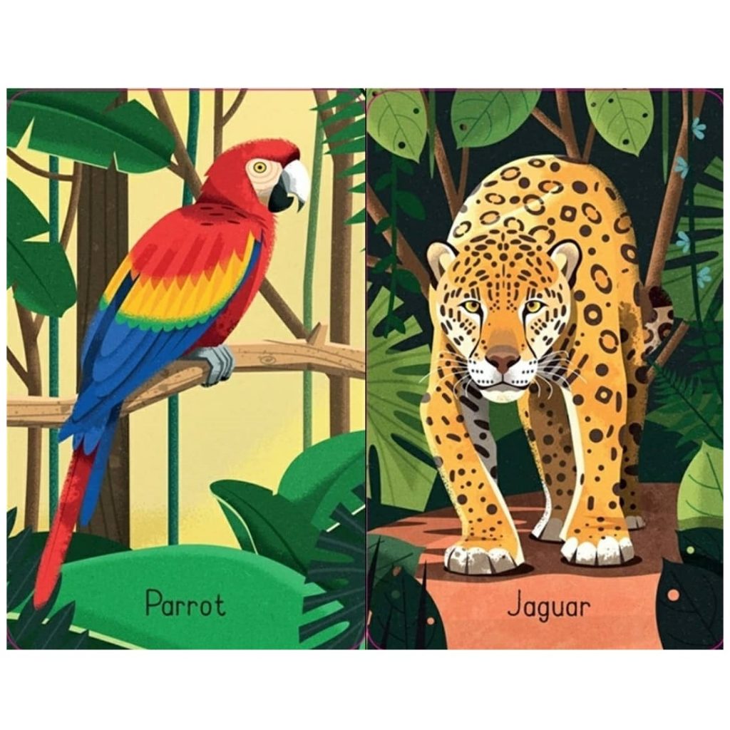 Snap - Jungle - Mind Games