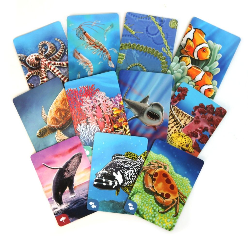 Ecosystem: Coral Reef - Mind Games