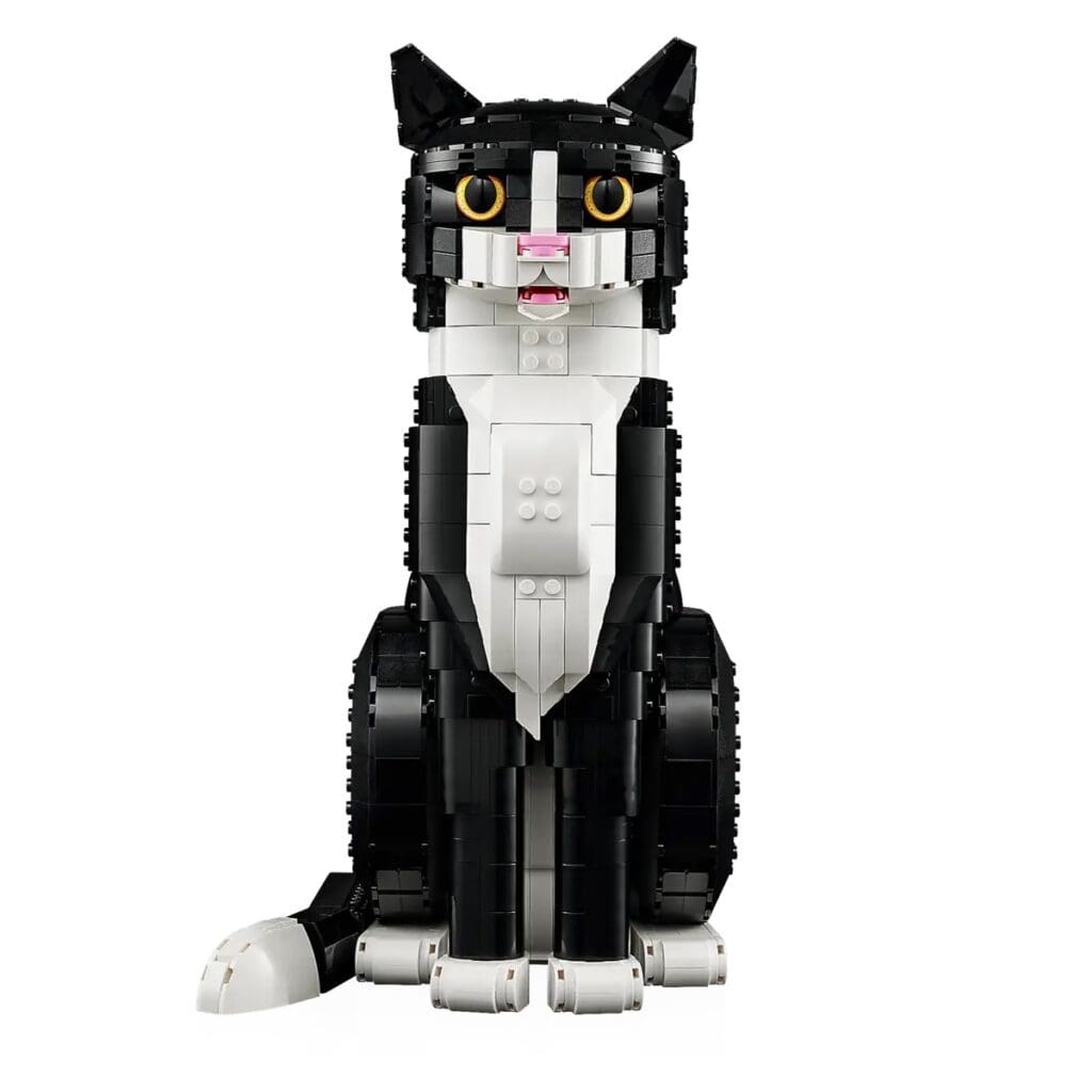 Ideas - Tuxedo Cat - Mind Games