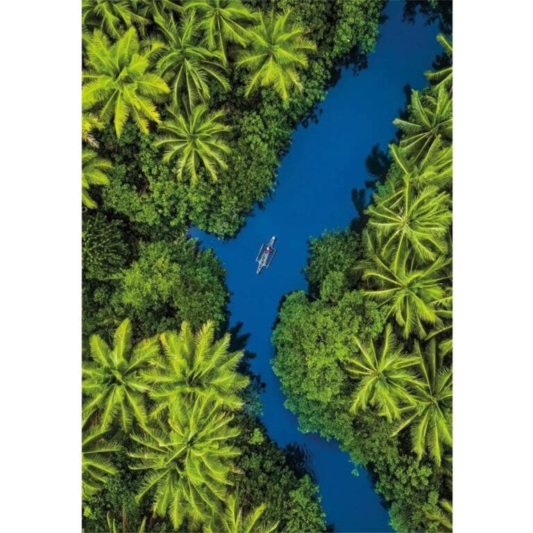 Tropical Aerial View - 500pc - Mind Games