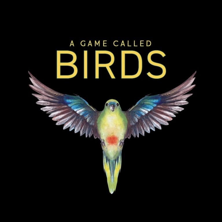 A Game Called Birds - Mind Games
